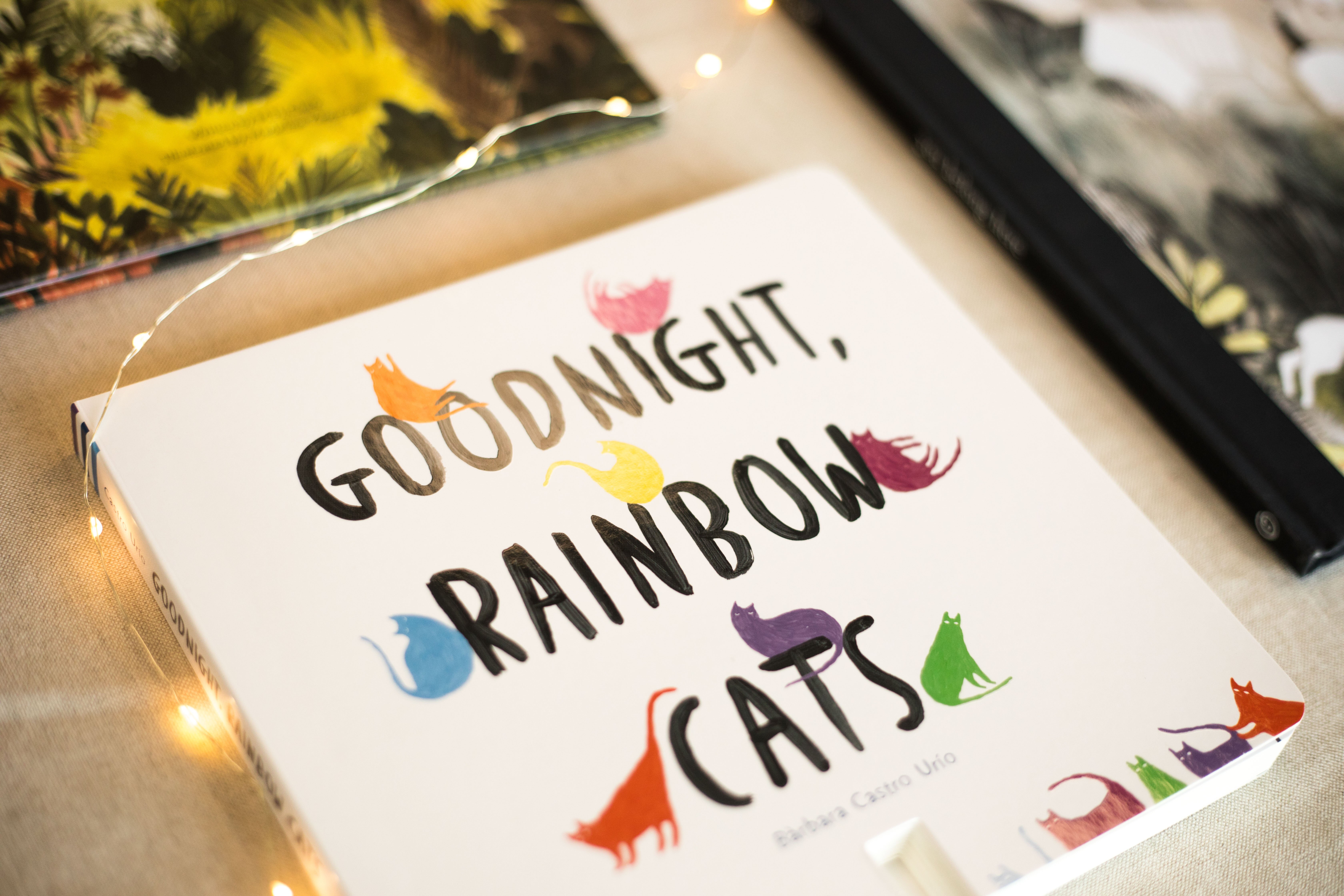 Goodnight Rainbow Cats Book - Toys : Baby & Newborn : Bambini